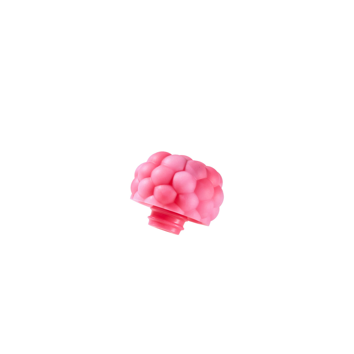 Raspberry Bottle Stopper – Maison Viancin USA Inc.